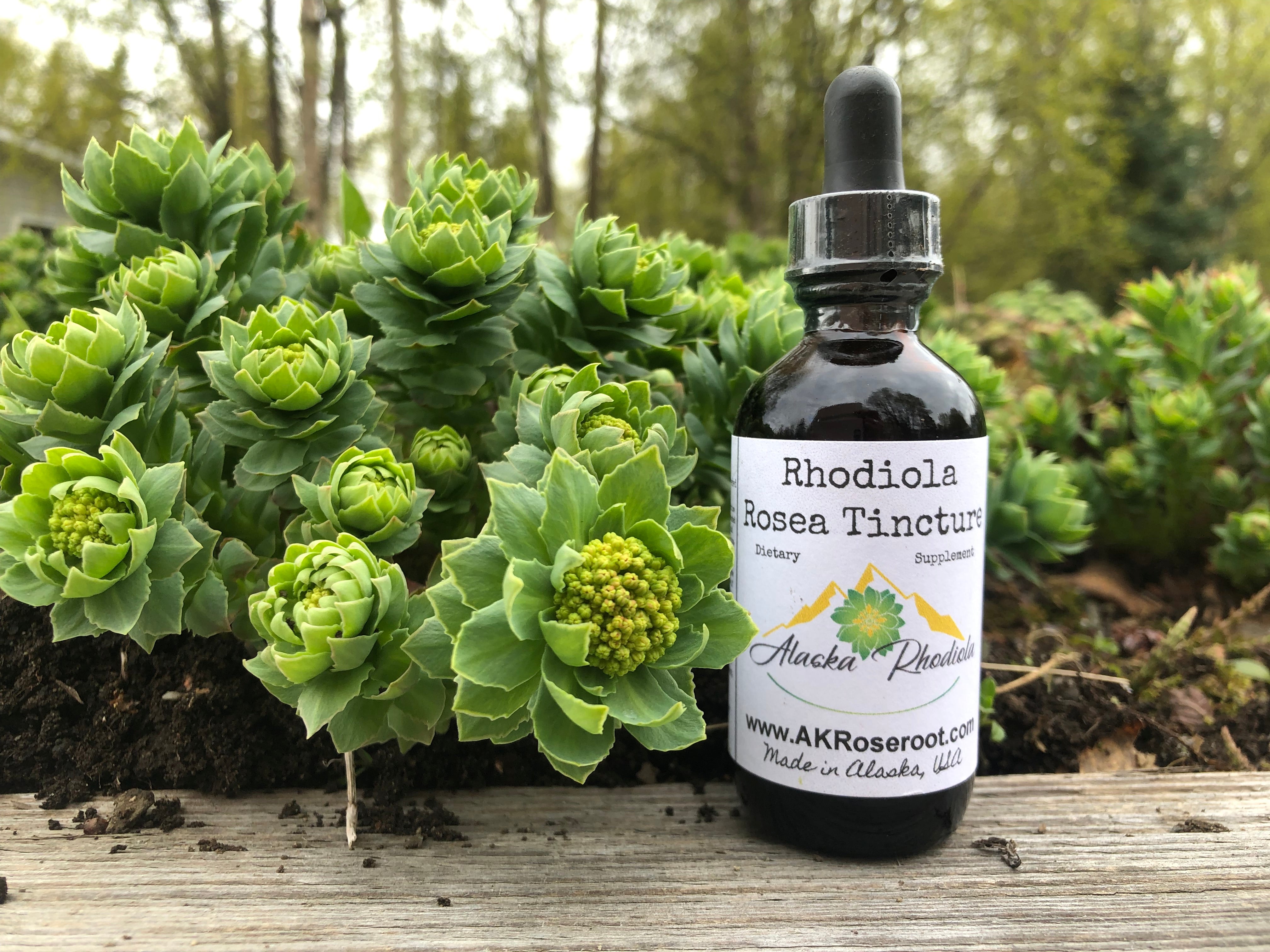 Alaska Rhodiola