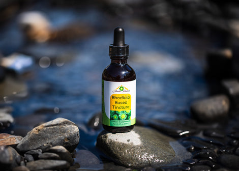 Rhodiola Rosea Tincture - 2 oz. – Alaska Rhodiola